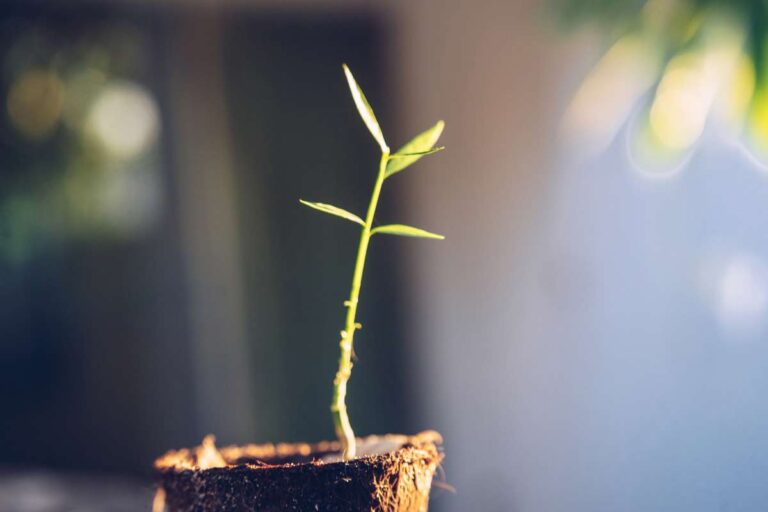 15 Best Tips How To Overcome Fear Of Failure In Life Life Simile